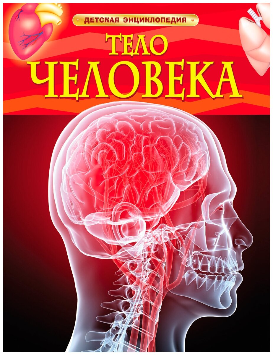 Смит М. "Тело человека. Детская энциклопедия" твердый