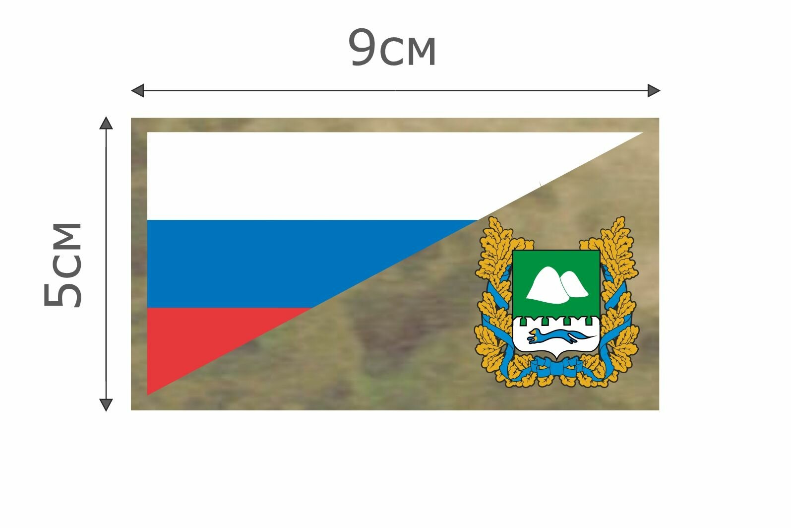 Ф045МОХ Нашивка , патч (шеврон) МОХ Флаг РФ Курганская область 5*9 см
