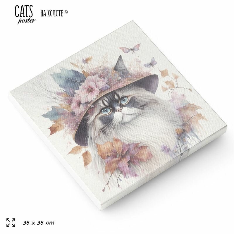 Картина на стену с кошкой, Рэгдолл, 35х35 см, холст с печатью на подрамнике, интерьерная, SilverPlane