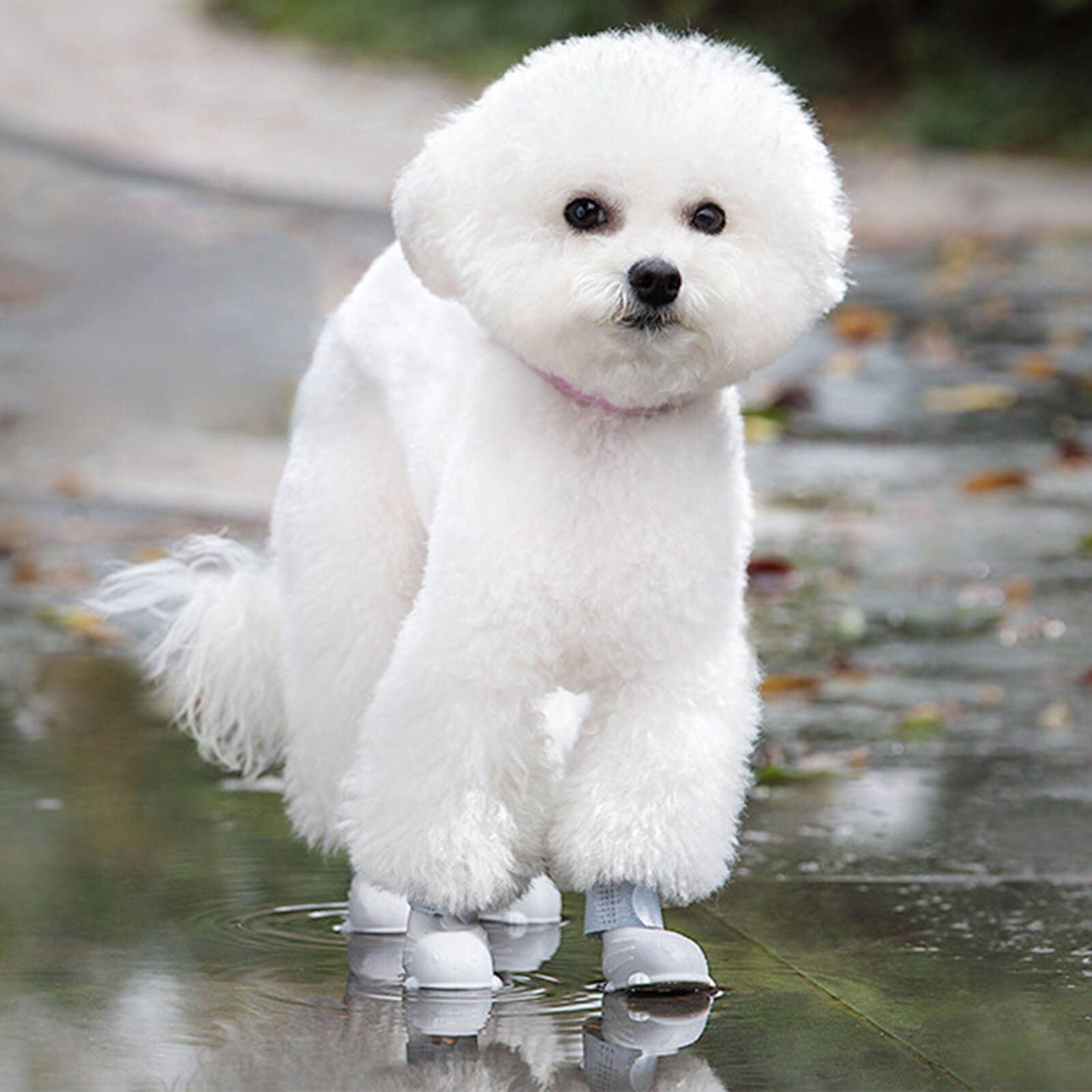 4 шт. ботинки для собак, водонепроницаемая подошва, зимняя защита для собачьих лап с регулируемыми ремнями для прогулок на открытом воздухе в снежный день, пеший туризм, маленький размер 4x3,5 см/1,57x1,37 дюйма