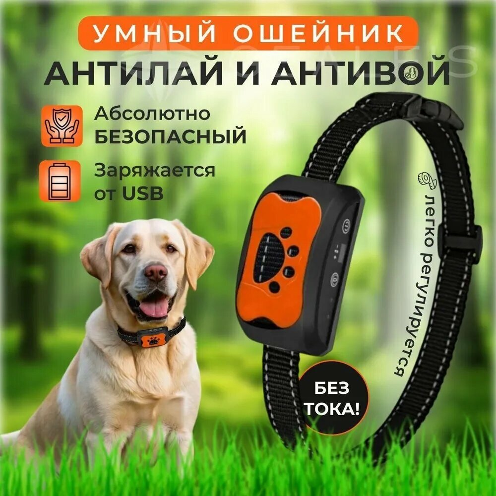Ошейник Антилай для собак против лая