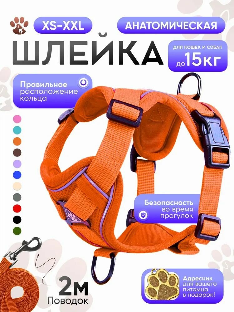 Шлейка для собак мелких и средних пород, анатомическая с поводком 2 метра , размер XXL, цвет оранжевый