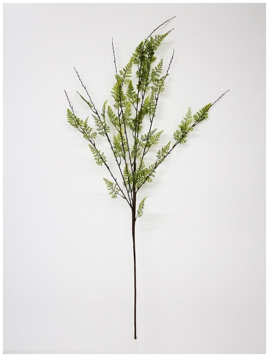 Веточка аспарагуса 100 см (Комплект из 2 шт.), бренд CONEKO - декор для дома и офиса