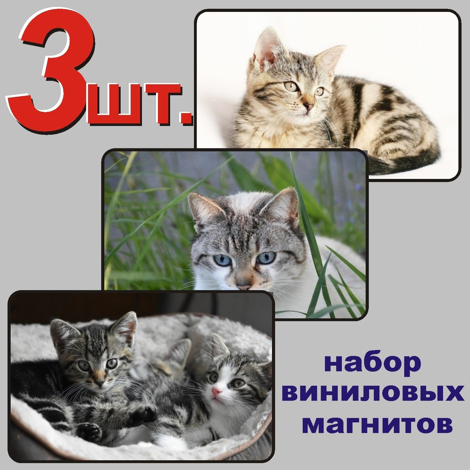 Котики набор магнитов 54x86мм 3 шт.