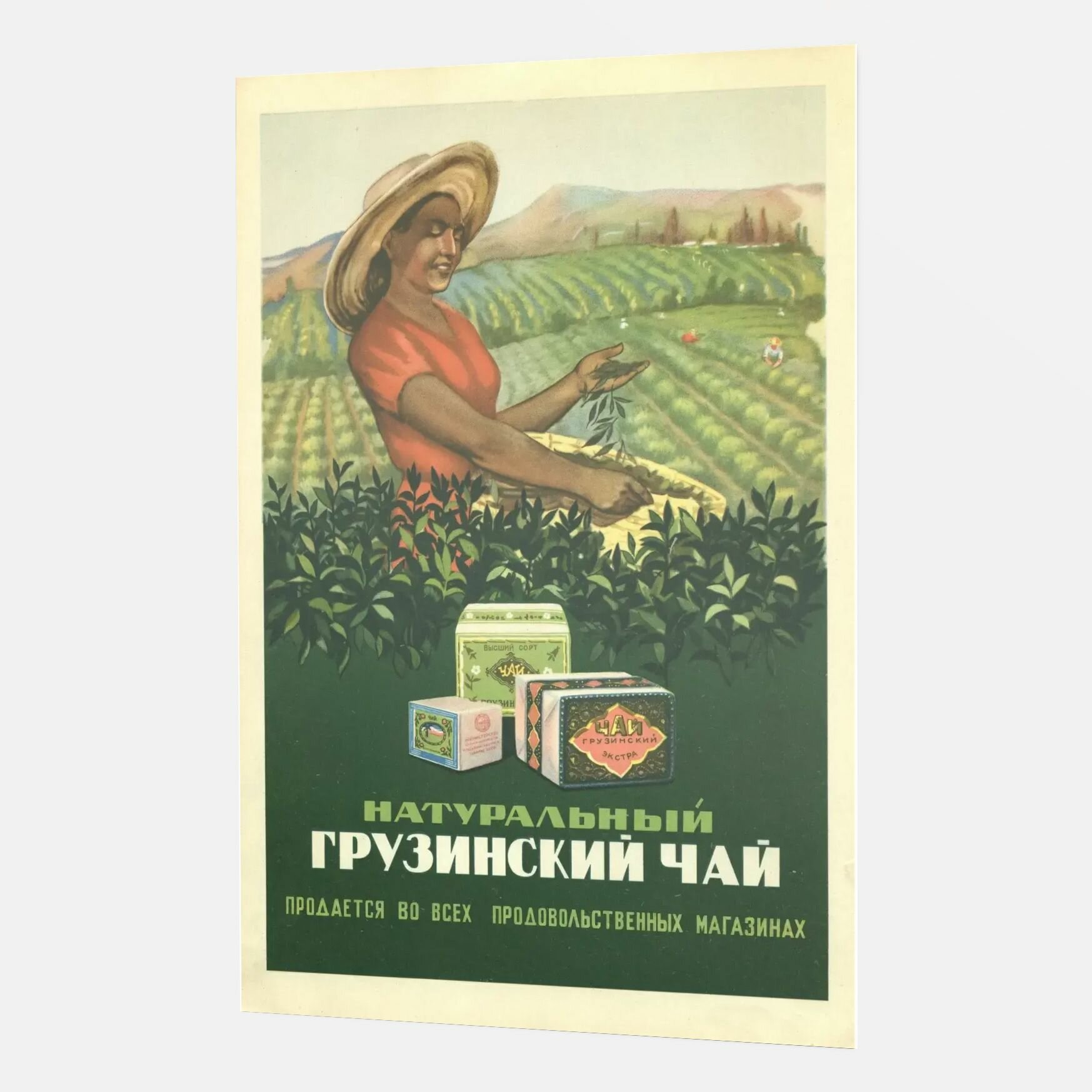 Интерьерный постер (плакат) советский - ссср - Натуральный грузинский чай - 40x60 см. - от Poster4me