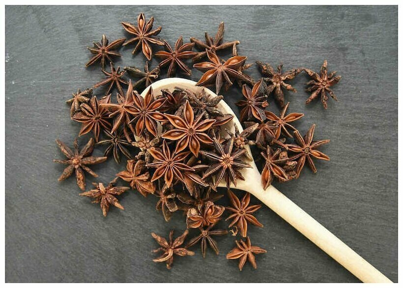 Бадьян целый/Бадьян - Анис звездчатый/Бадьян