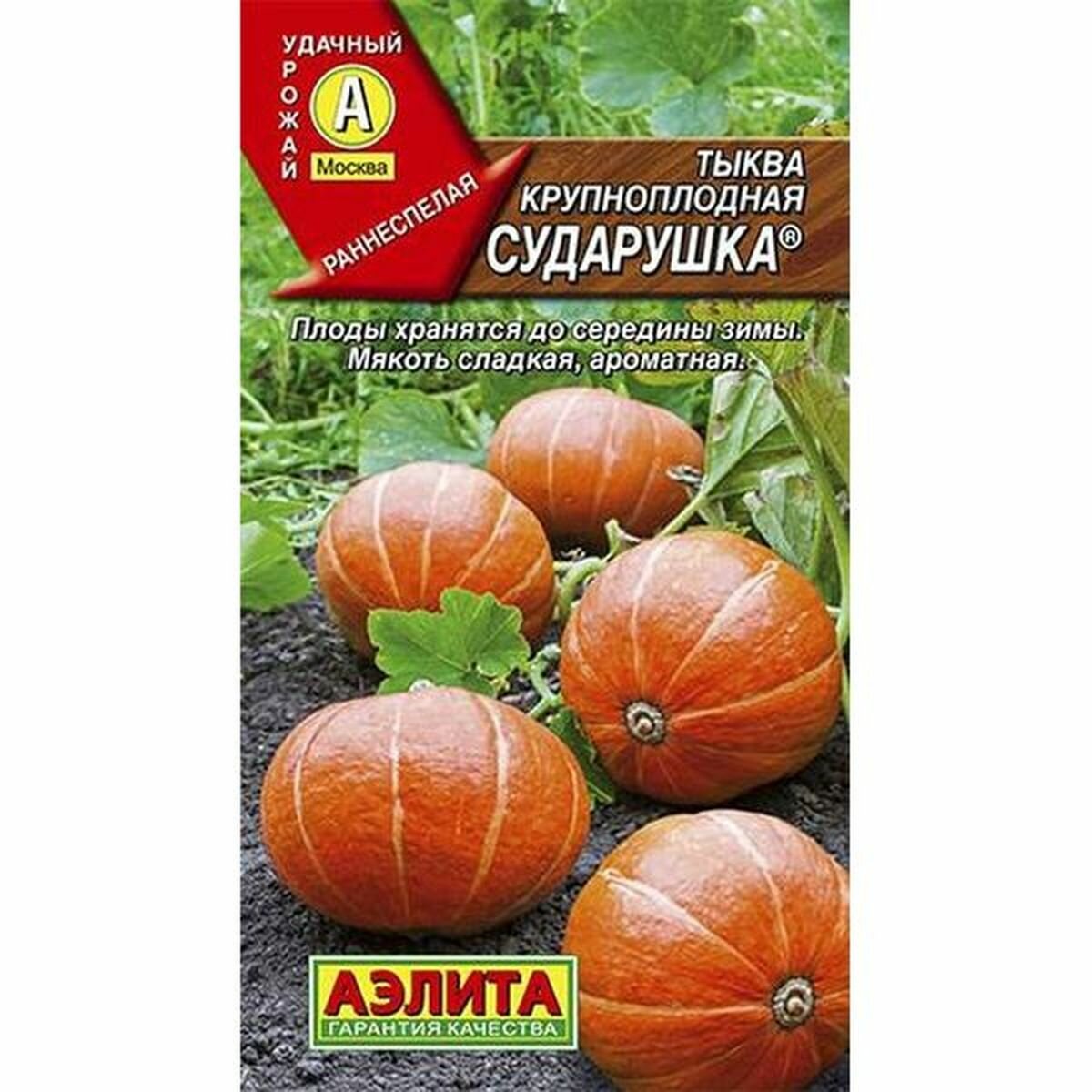 Семена Тыква Сударушка, раннеспелый, Аэлита, 1 пачка - 1г семян