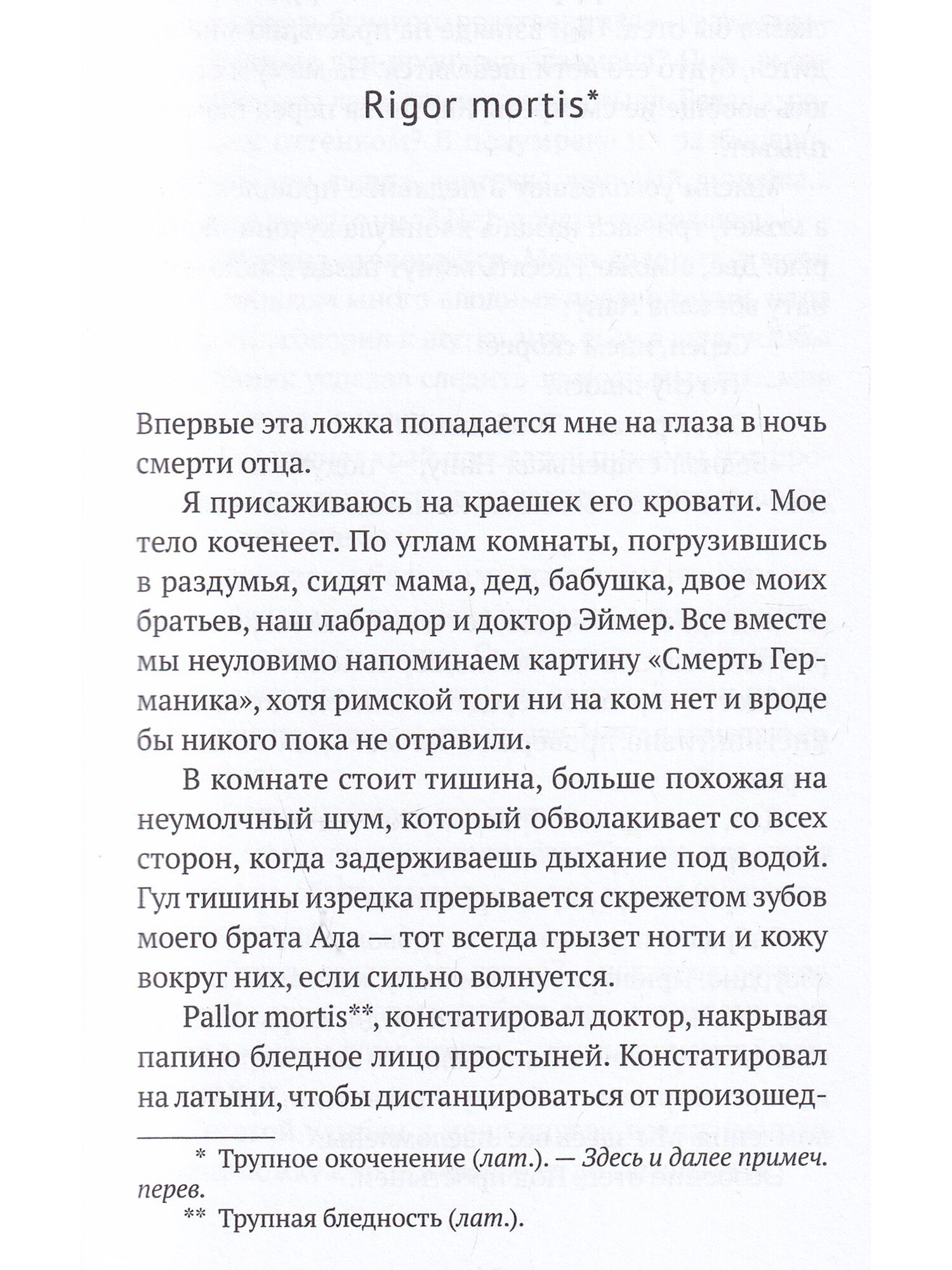 Ложка — фото 1