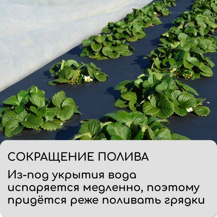 Материал мульчирующий, 5×1.6 м, плотность 80 г/м², спанбонд с УФ-стабилизатором, чёрный, Greengo, Эконом 30% — фото 1