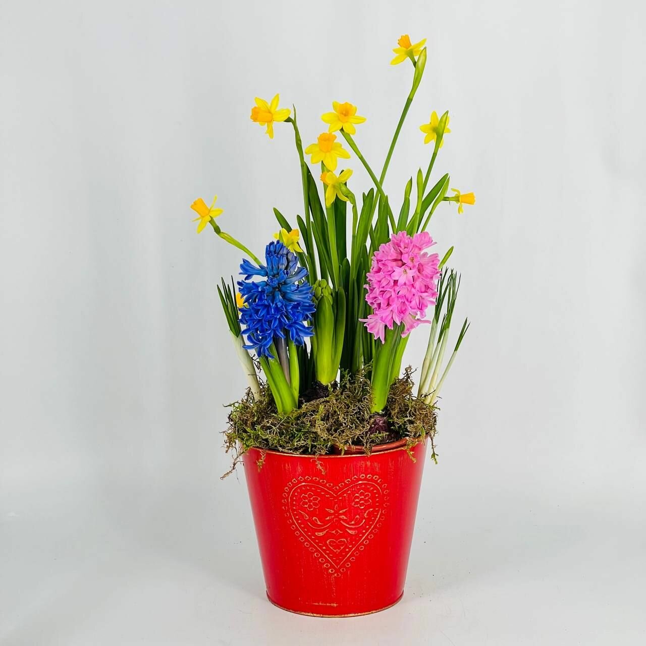 Первоцветы-весенняя композиция в жестяном ведёрке, нарциссы и гиацинты, крокусы