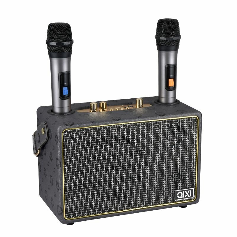 SK2036 портативный bluetooth-динамик 6,5 дюймов портативный динамик для танцев с двумя беспроводными микрофонами