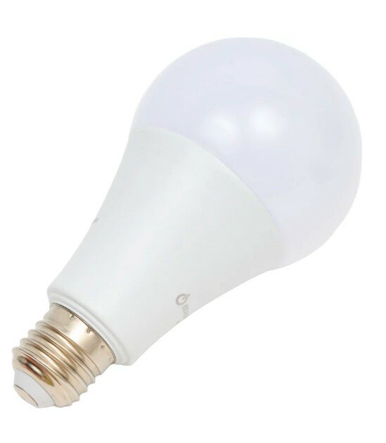 Лампа светодиодная 25W E27 A80 6500K 220V (LED PREMIUM А80-25W-E27-WW) (ЛОН) Включай