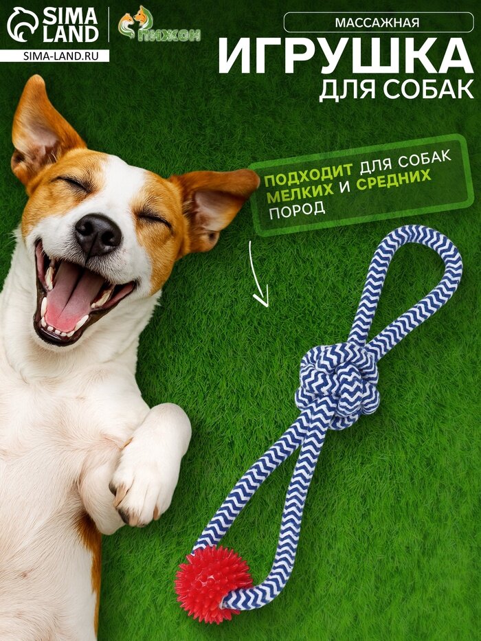 Игрушка канатная Массажная, с узлом, до 65 г, до 30 см, цвет микс