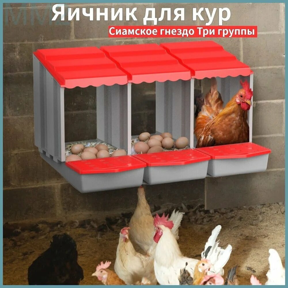 Куриное гнездо со сборщиком яиц84.5*51.5*46.5cm