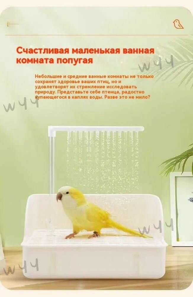 Ванночка для животных, Ванночка для животных, Ванночка для животных, Ванночка для животных