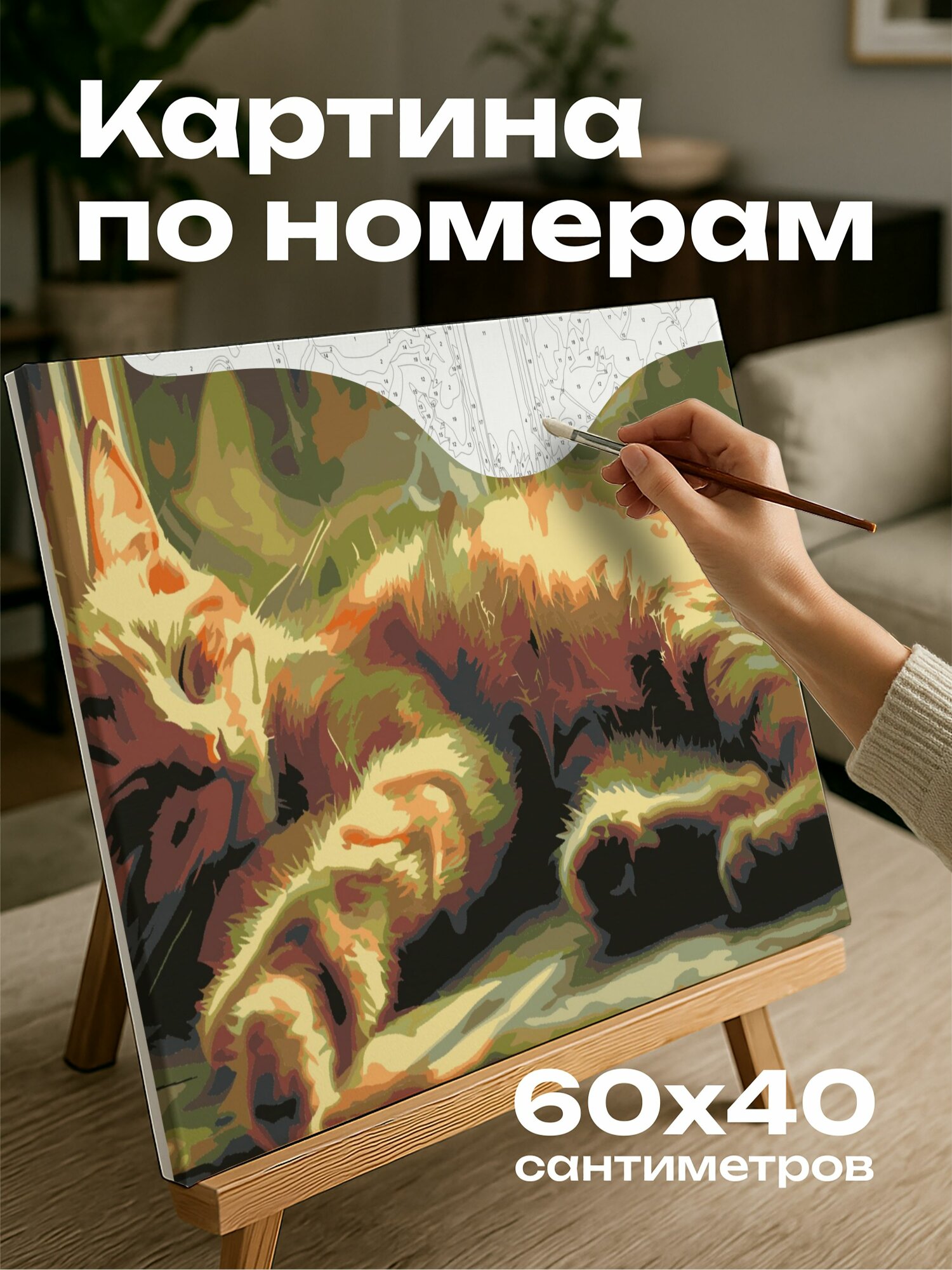 Картина по номерам 60x40 см, кошка, дремлющая, солнечный свет, уют, текстура меха, расслабленная поза, свечение, окно
