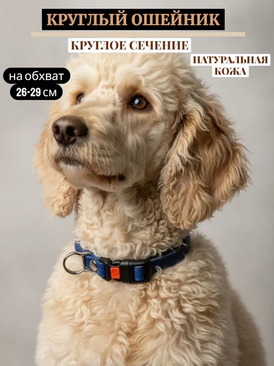 Dogbond Ошейник для шпица круглый кожаный 26-29 см