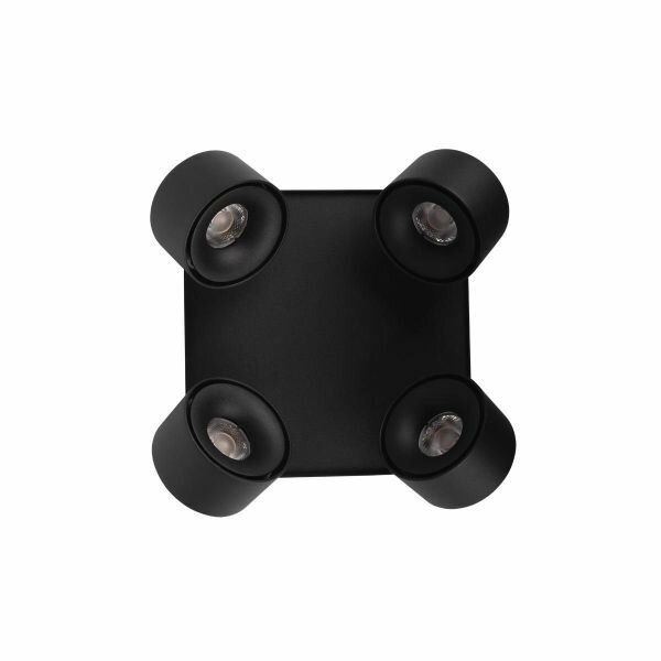 Спот Loft IT Case 10326 Black — фото 1
