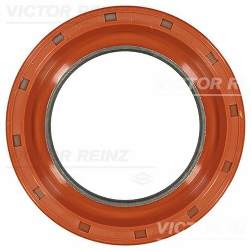 Вал коленчатый Victor Reinz 813760100 для Fiat DUCATO