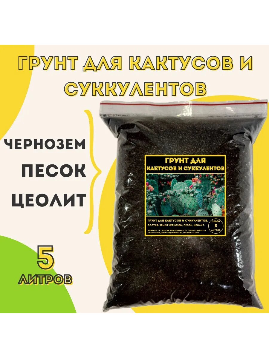 Грунт для кактусов и суккулентов