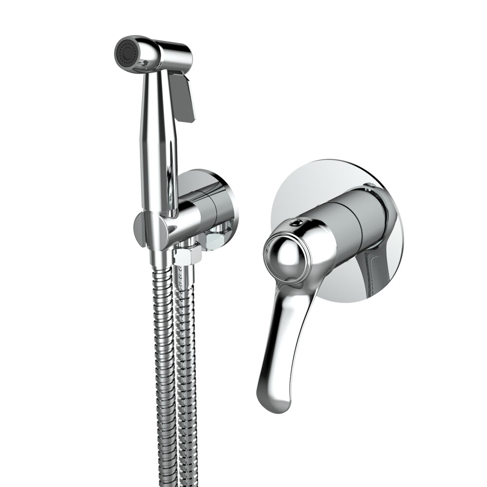 Смеситель для биде из латуни с лейкой и шлангом Vieir V413553 хром