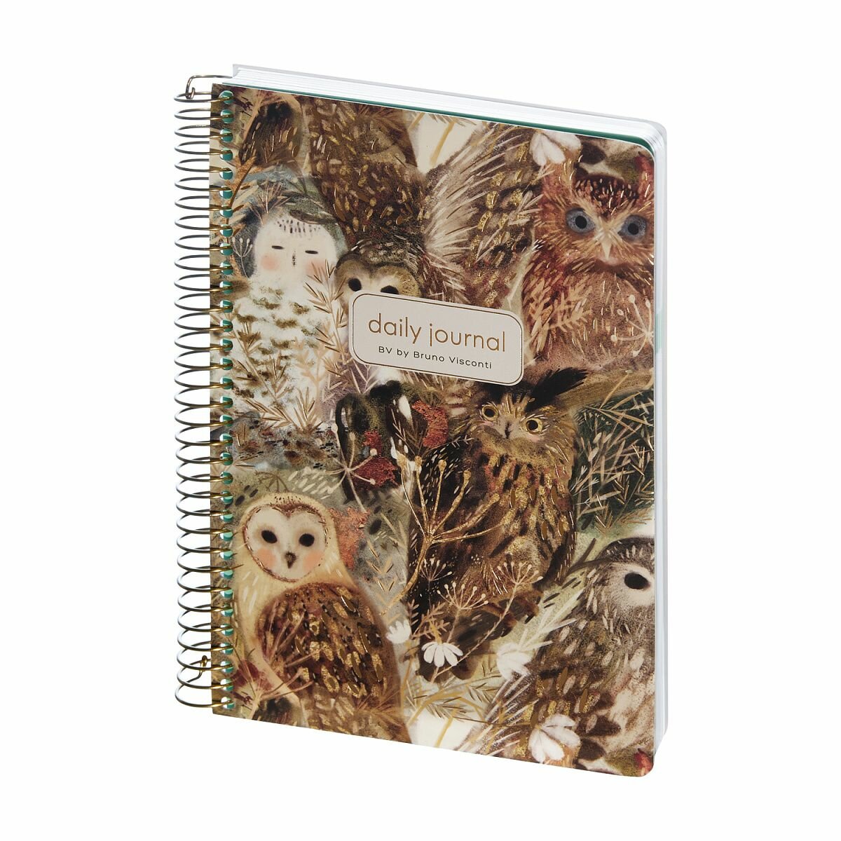 Ежедневник А5 BrunoVisconti "Волшебные совы" недатированный 272 стр