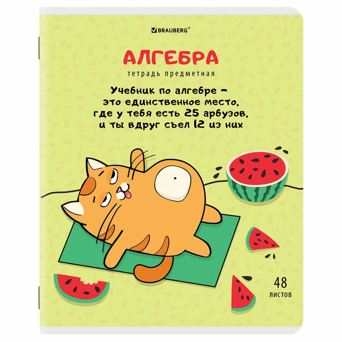 Тетрадь предметная для работ по алгебре Brauberg "Кот-Энтузиаст" (А5, 48л, клетка, TWIN-лак, справка) (404556), 10шт.