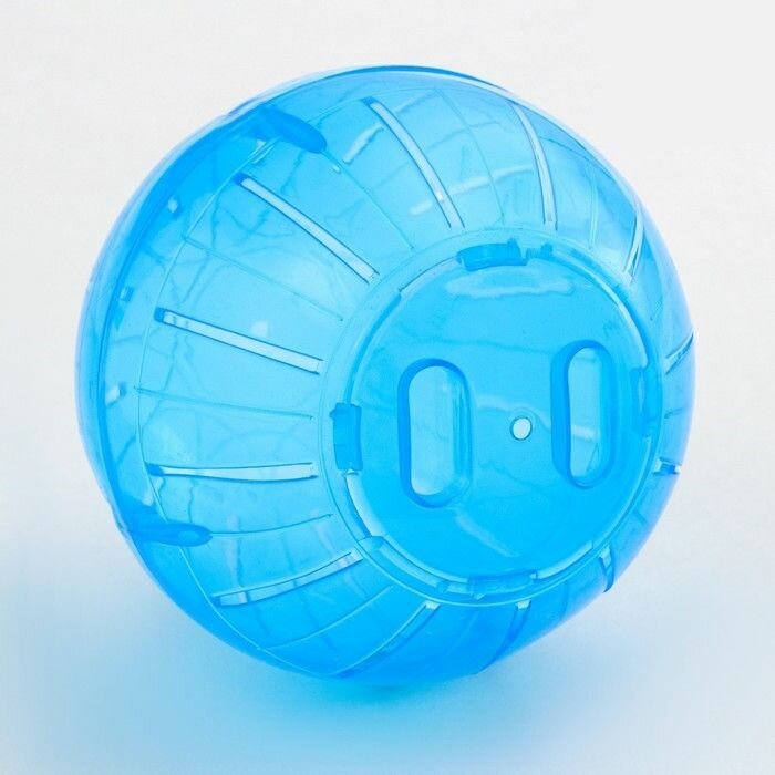 Шар для грызунов Пижон 12 см, 69 г, синий (RJ182blue)