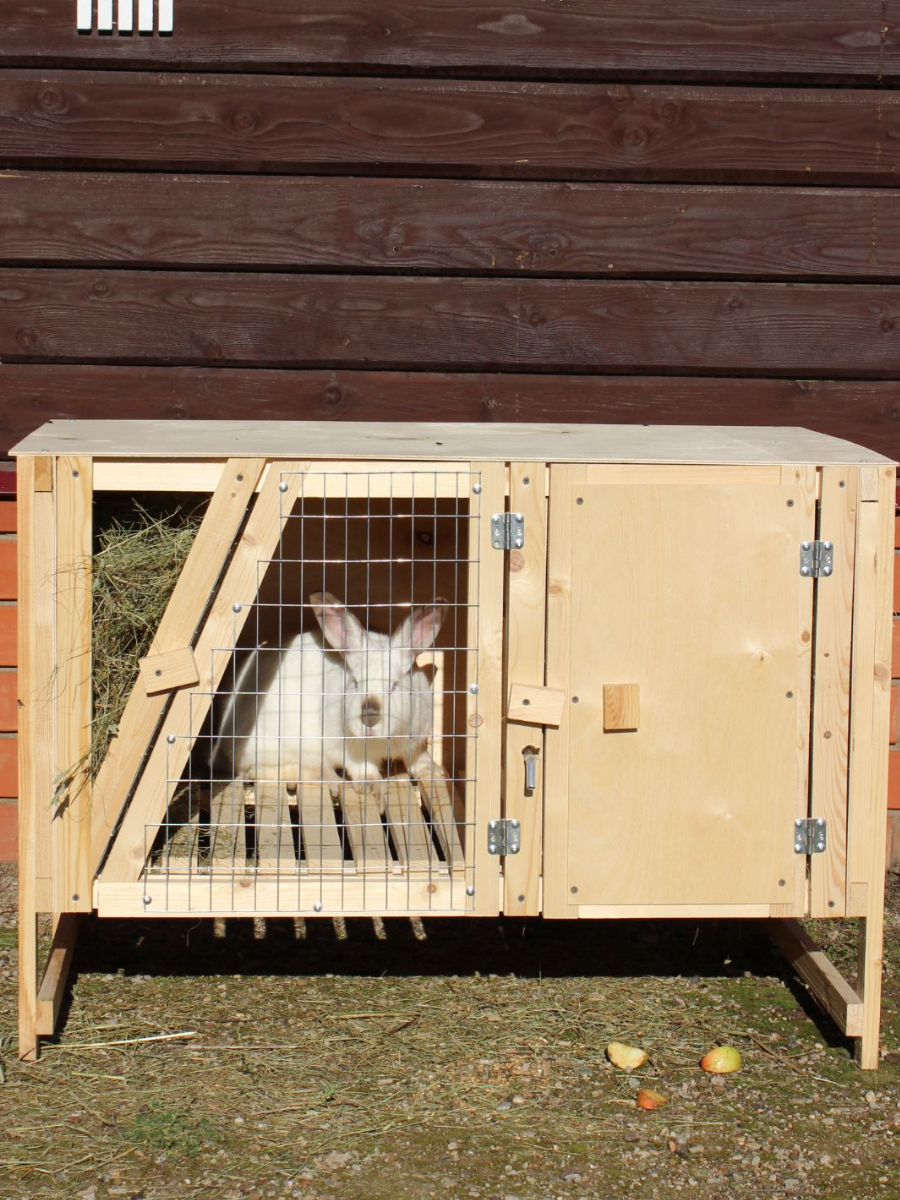 Клетка для кролика большая с маточником Базовая комплектация от производителя