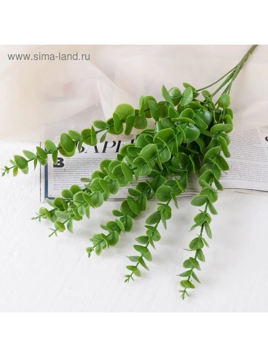 Букет эвкалипта 45см — зелень для интерьера