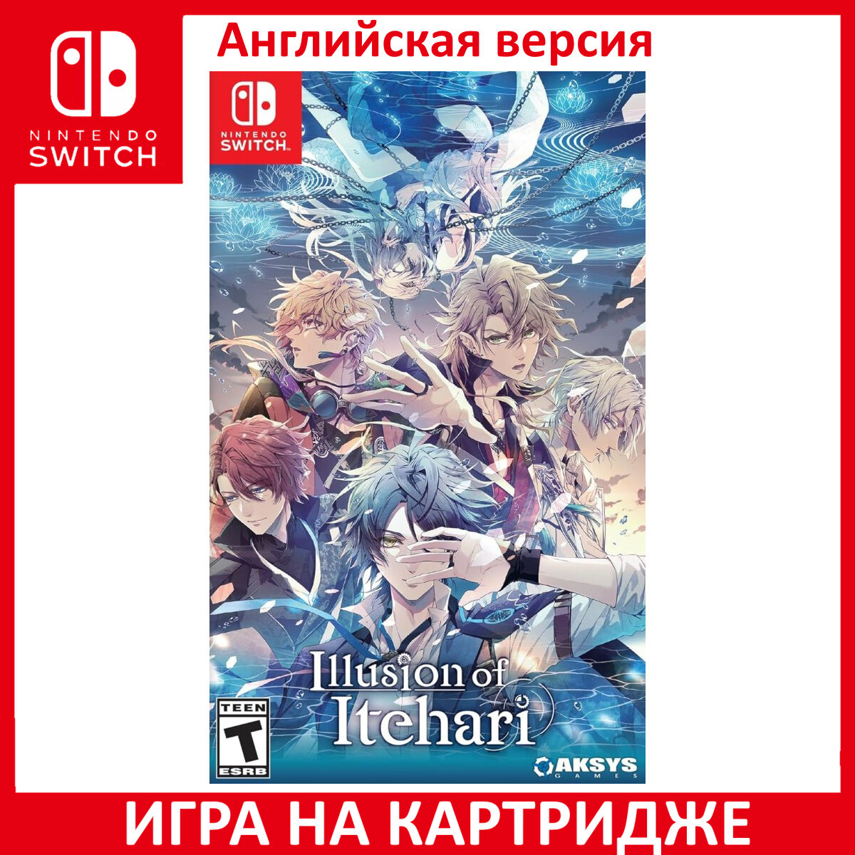 Игра illusion of Itehari Switch Английский язык Картридж на Nintendo Switch