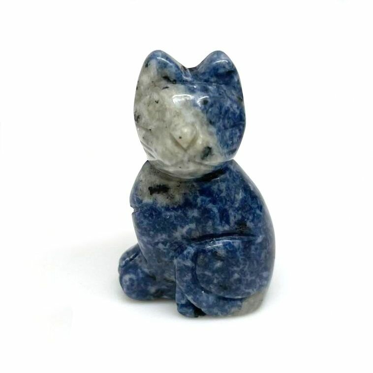 Котик K-max символ интуиции, терпения, независимости содалит Sr-Cat-04