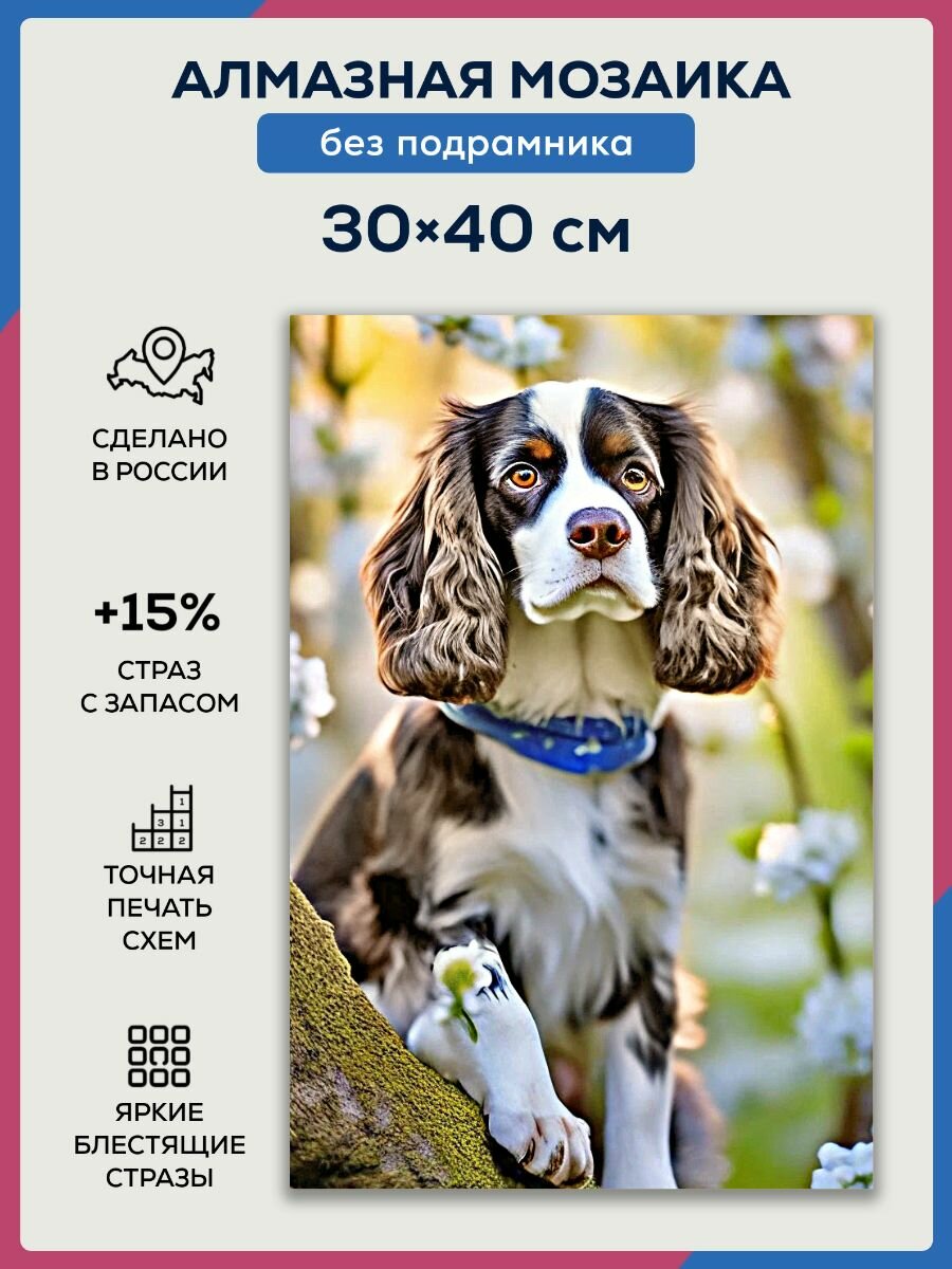 Алмазная мозаика 30x40 Животные Собака без подрамника
