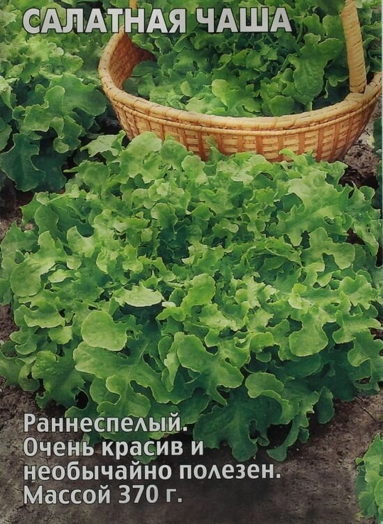 Семена Салат Салатная Чаша