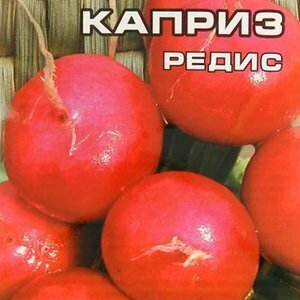 Семена Редис Дамский каприз
