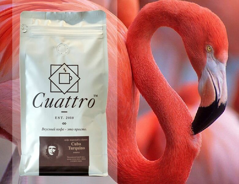 Кофе в зернах CUATTRO CUBA TURQUINO (куба) 500 г, арабика 100%, средняя обжарка