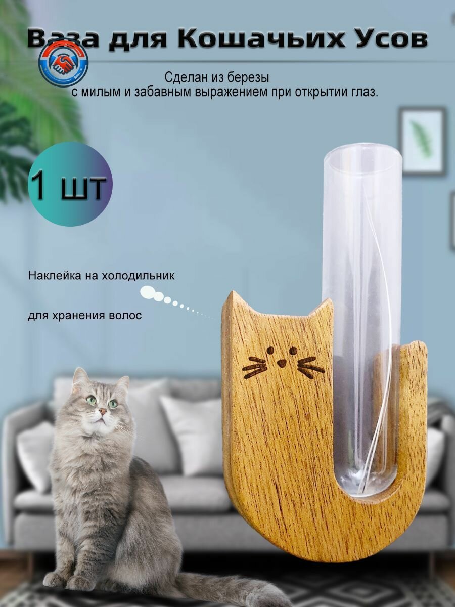 Ваза для кошачьих усов на магните — деревянная стеклянная шкатулка-память для холодильника и дома подарок кошатнику