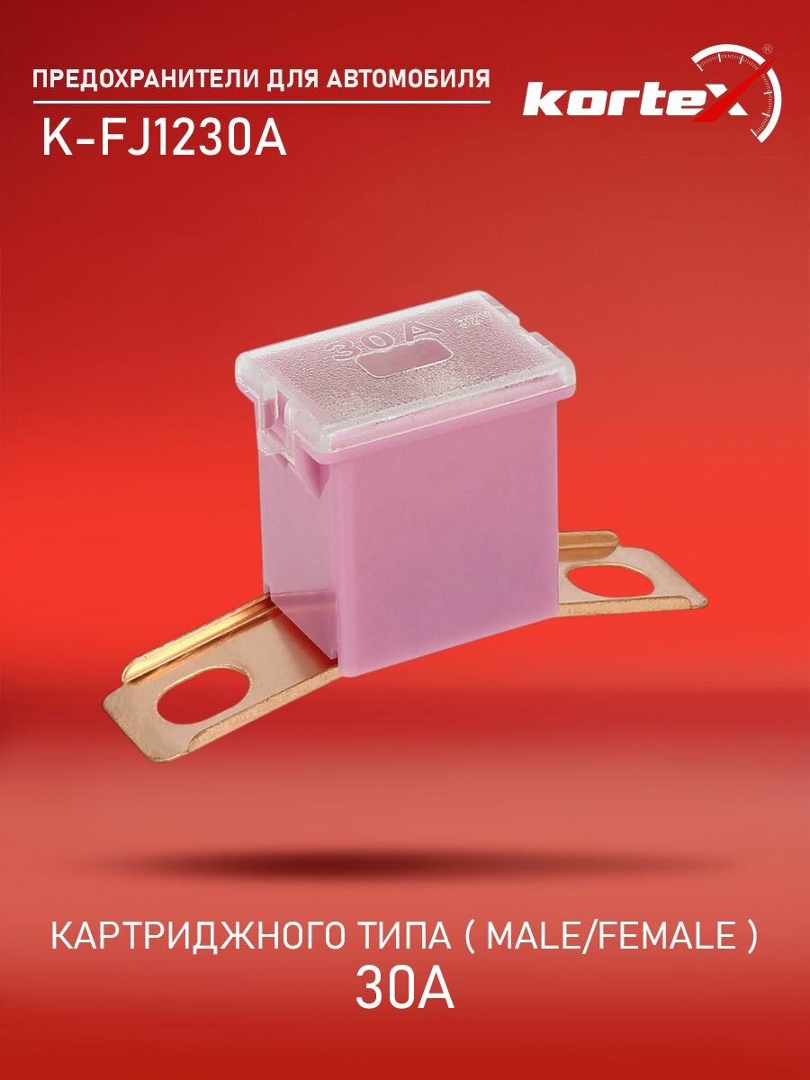Предохранитель картриджного типа ( male/female ) 30A