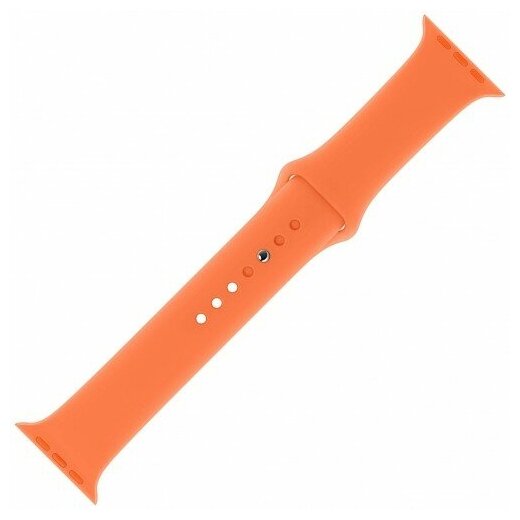 BandRate Smart RAPBRS004OR-38-40MM