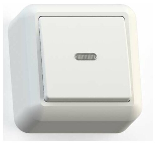 Выключатель 1-кл. ОП Оптима 10А IP20 А110-386 с индикацией с монтаж. пластиной бел. Кунцево 8001