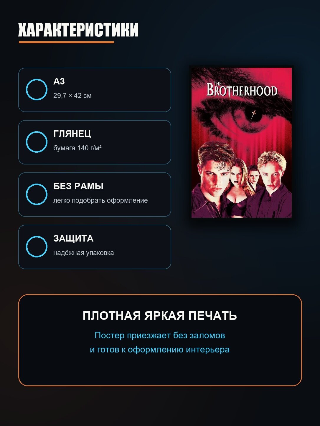 Постер Братство вампиров — фото 1