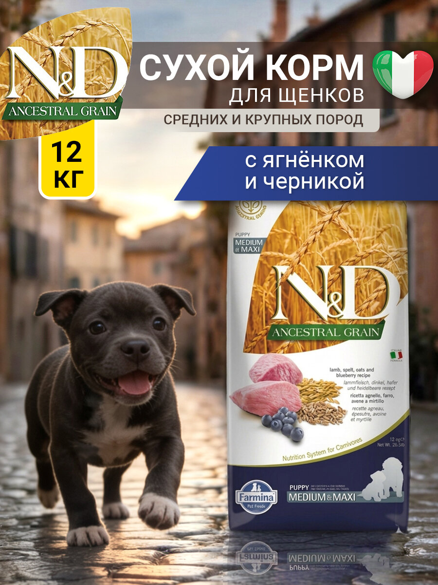 Сухой корм Farmina N&D Ancestral Grain (Фармина) для щенков средних и крупных пород ягненок с черникой, 12 кг