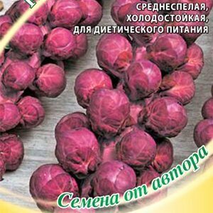 Семена Капуста брюссельская F1 Гранатовый браслет