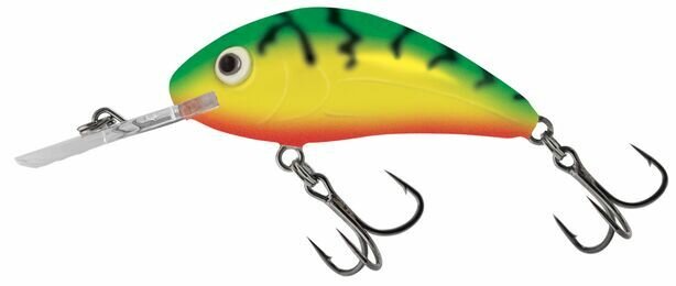 Воблер SALMO POLAND HORNET RATTLIN F 06.5/GT, ратлины для зимней и летней рыбалки