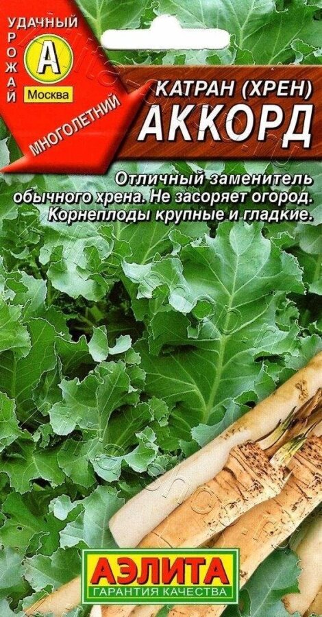 Катран (хрен) Аккорд 0,3г (Аэлита)