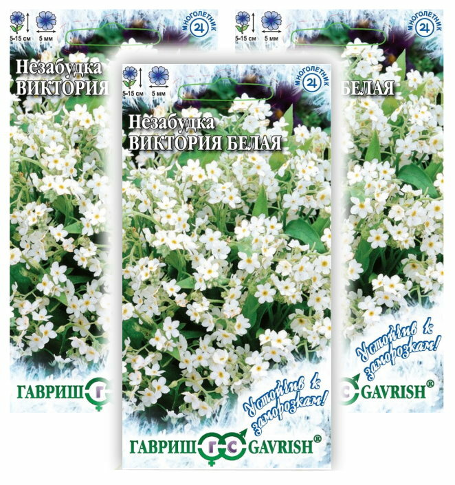 Семена Незабудка альпийская Виктория белая серия Устойчив к заморозкам х 3 шт.