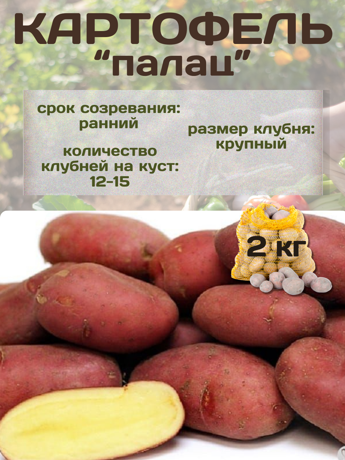Картофель семенной Палац 2 кг, на посадку