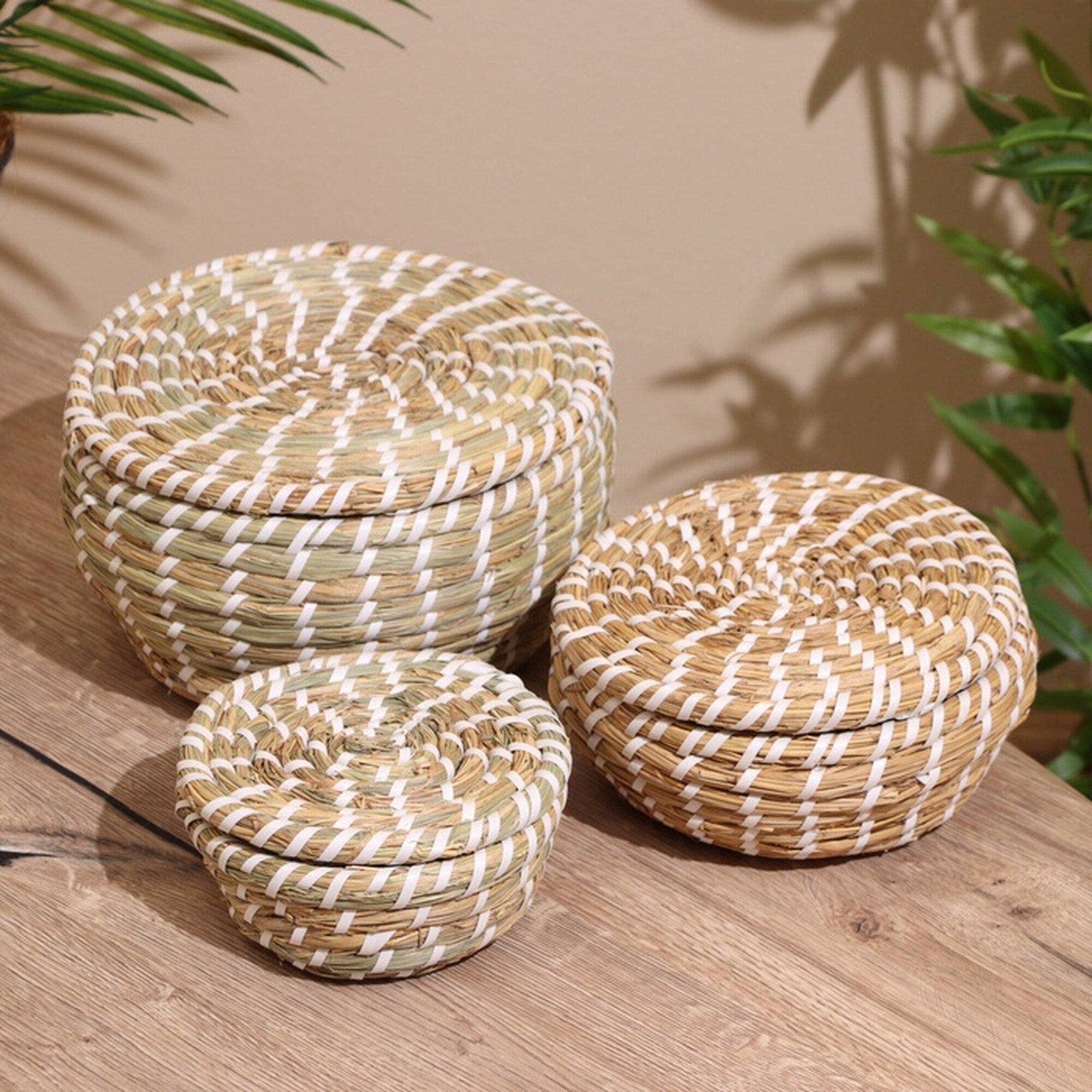 Набор плетеных корзин Сима-ленд, с крышкой, морские водоросли, 25x20x16 см, 3 шт