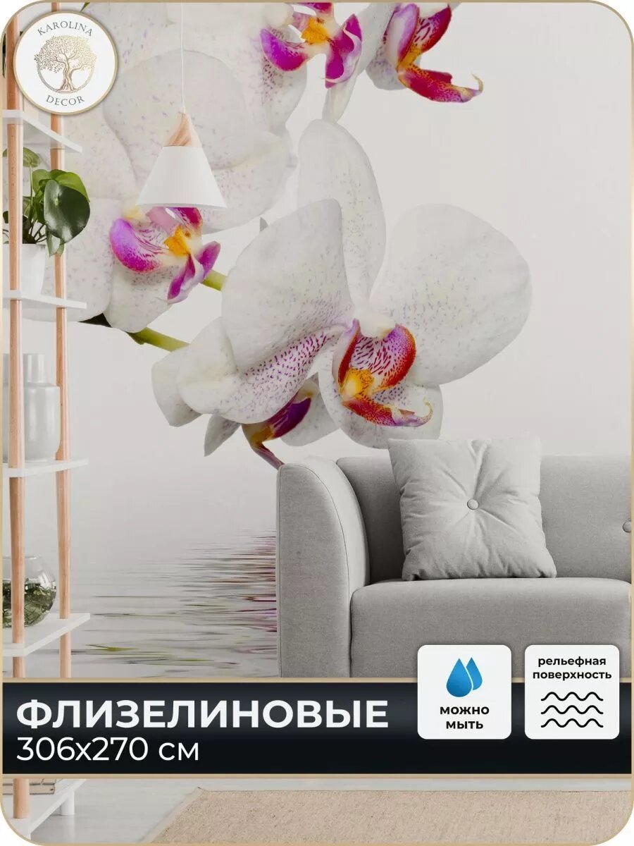 Фотообои Орхидеи в детскую в спальню на кухню 300х270