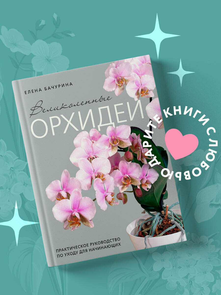 Бачурина Е. В. Великолепные орхидеи. Практичное руководство по уходу для начинающих